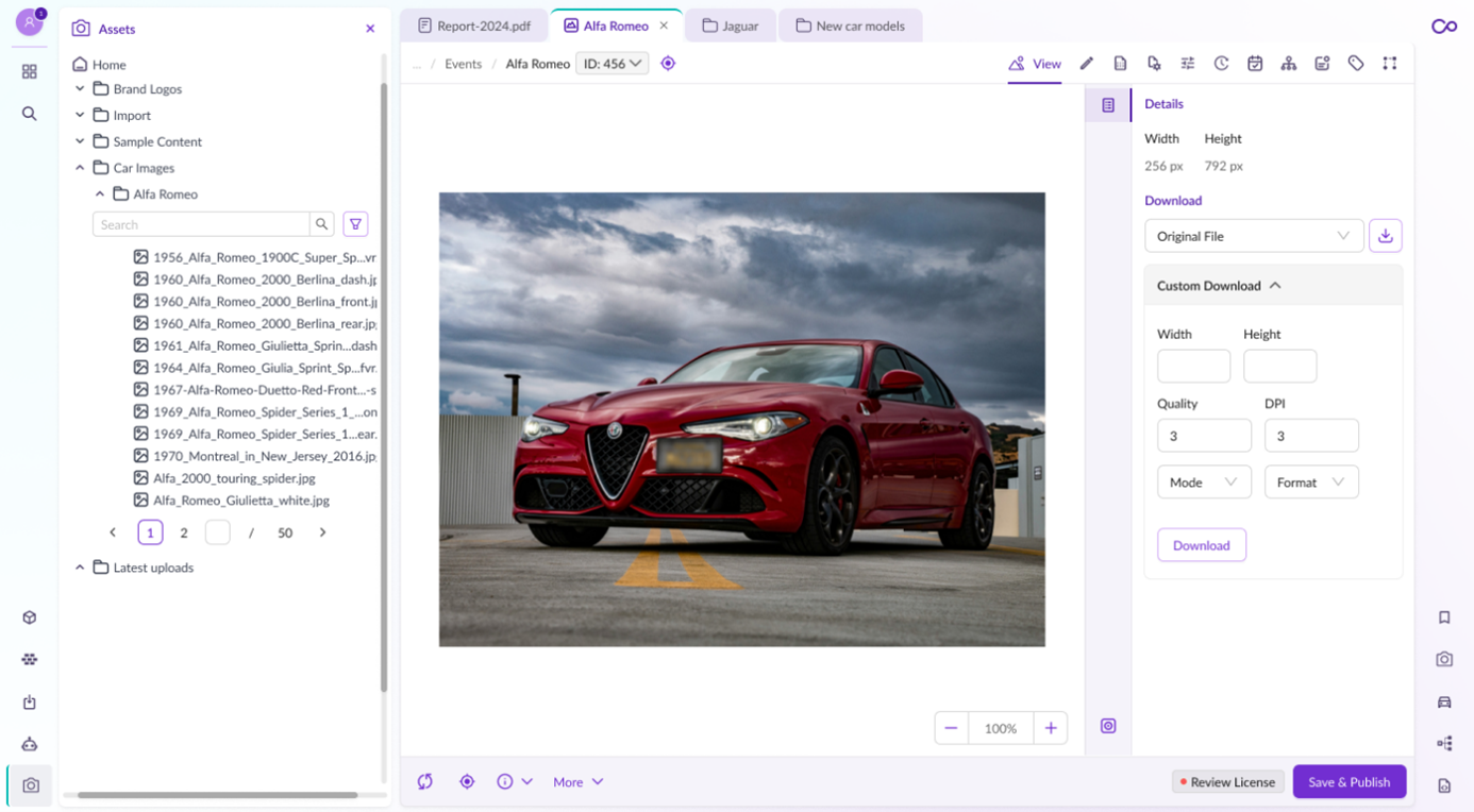Boosting Business Capabilities with Pimcore Platform Version Release 2024.3