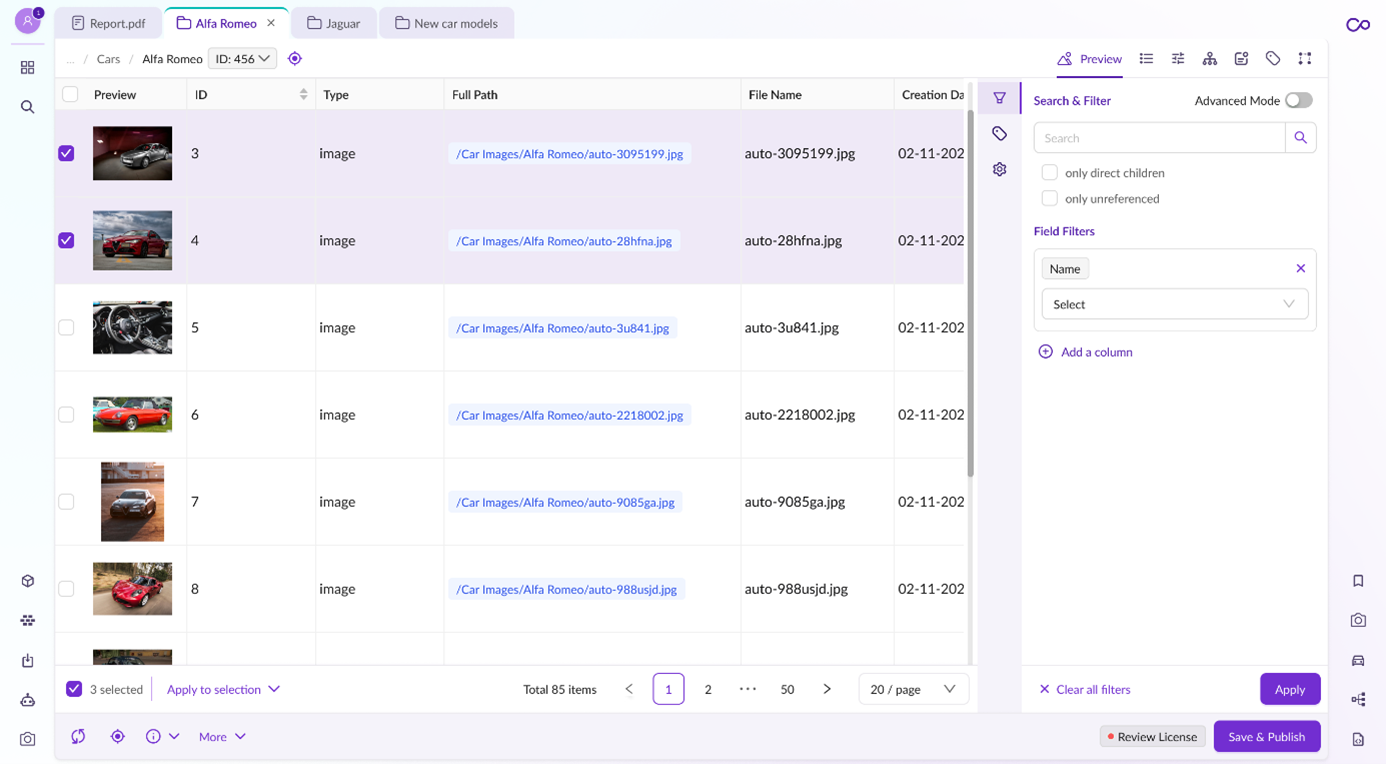 Boosting Business Capabilities with Pimcore Platform Version Release 2024.3