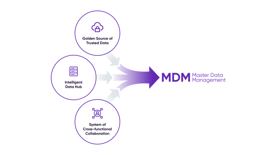 Master Data Management - Leitfaden für die Implementierung von Stilen ...