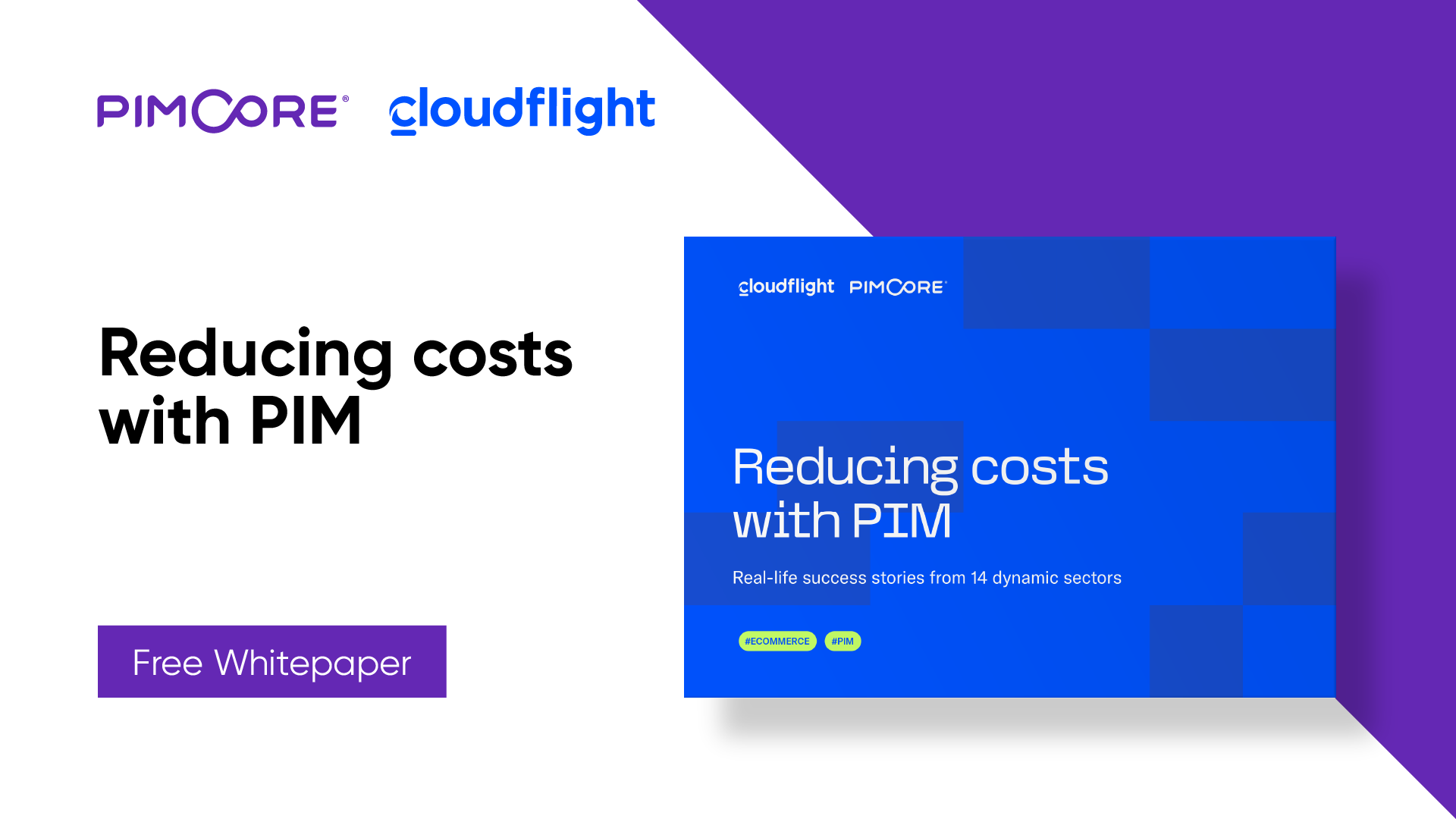 How to Reduce Costs with PIM - Pimcore