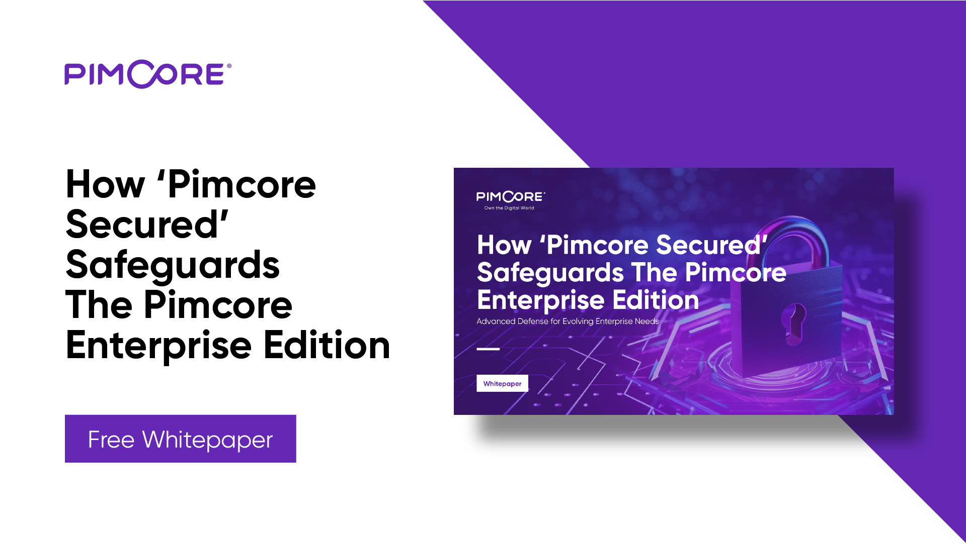 How Pimcore Secured Safeguards the Pimcore Enterprise Edition - Pimcore